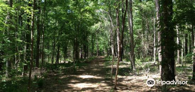 Grapeland 2022 Top Things to Do - Grapeland Travel Guides - Top ...