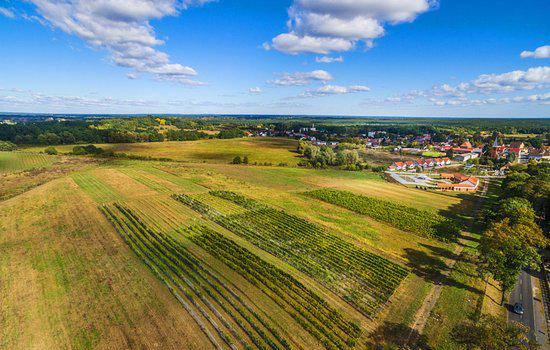 Gmina Zabor Travel Guide 2023 - Things to Do, What To Eat & Tips | Trip.com