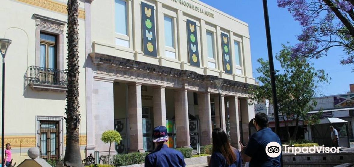 Aguascalientes Travel Guide 2023 - Things to Do, What To Eat & Tips ...