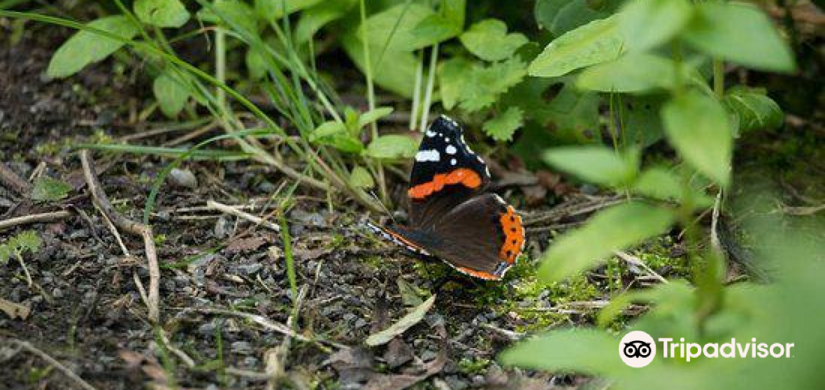 Nafferton 2023 Top Things to Do - Nafferton Travel Guides - Top ...