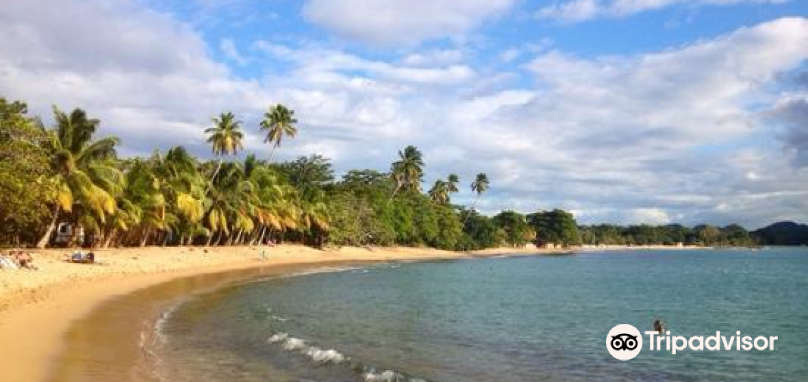 Rincon 2022 Top Things to Do - Rincon Travel Guides - Top Recommended ...