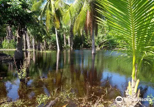 10 Best Things to do in Santa Maria Tonameca, Oaxaca - Santa Maria ...