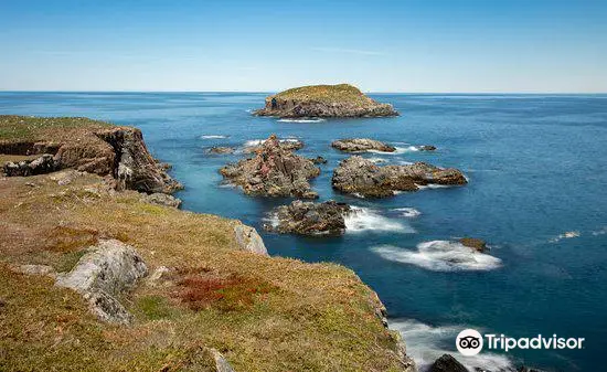 10 Best Things to do in Catalina, Newfoundland and Labrador - Catalina ...