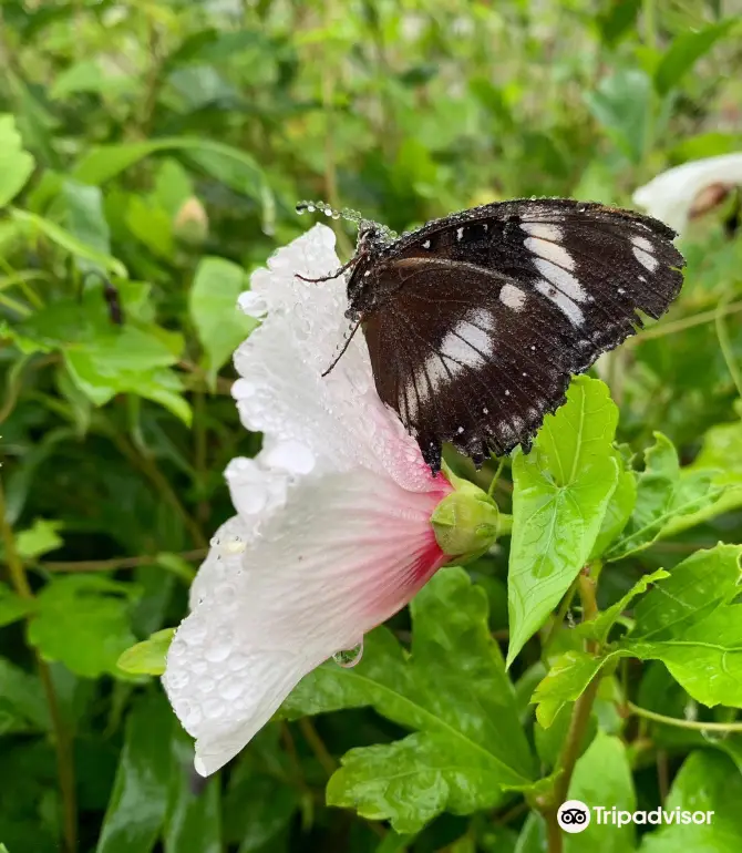 도니골 여행 코스 & 인기 여행지 추천 | 트립닷컴
