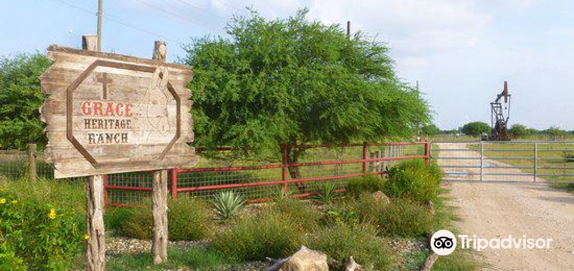 10 Best Things to do in Willacy County, Texas - Willacy County travel ...