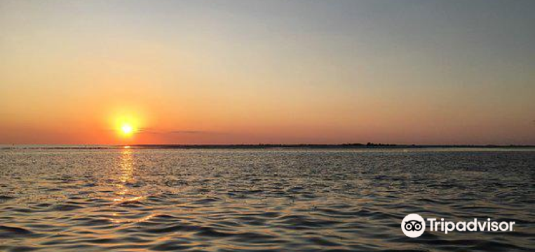 10 Best Things to do in Pasco County, Florida - Pasco County travel ...