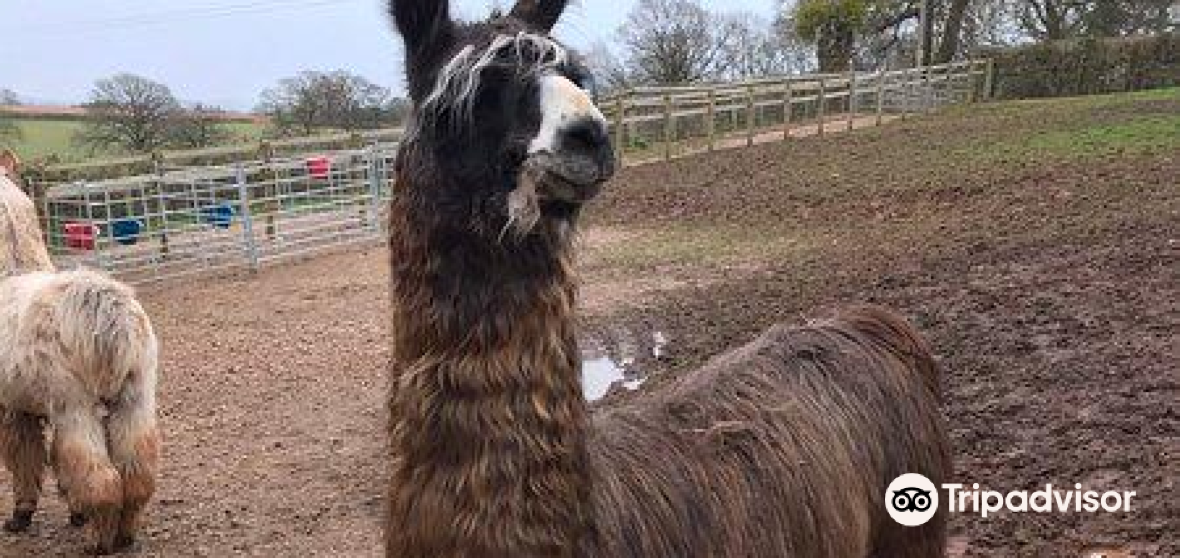 Gorsley and Kilcot Travel Guide 2023 - Things to Do, What To Eat & Tips ...