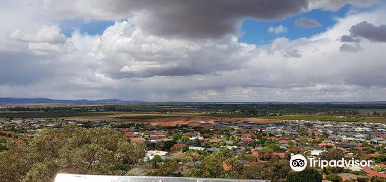 Griffith City Council Travel Guide 2023 - Things to Do, What To Eat ...