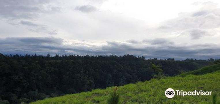 10 Best Things to do in Bukidnon, Northern Mindanao - Bukidnon travel ...