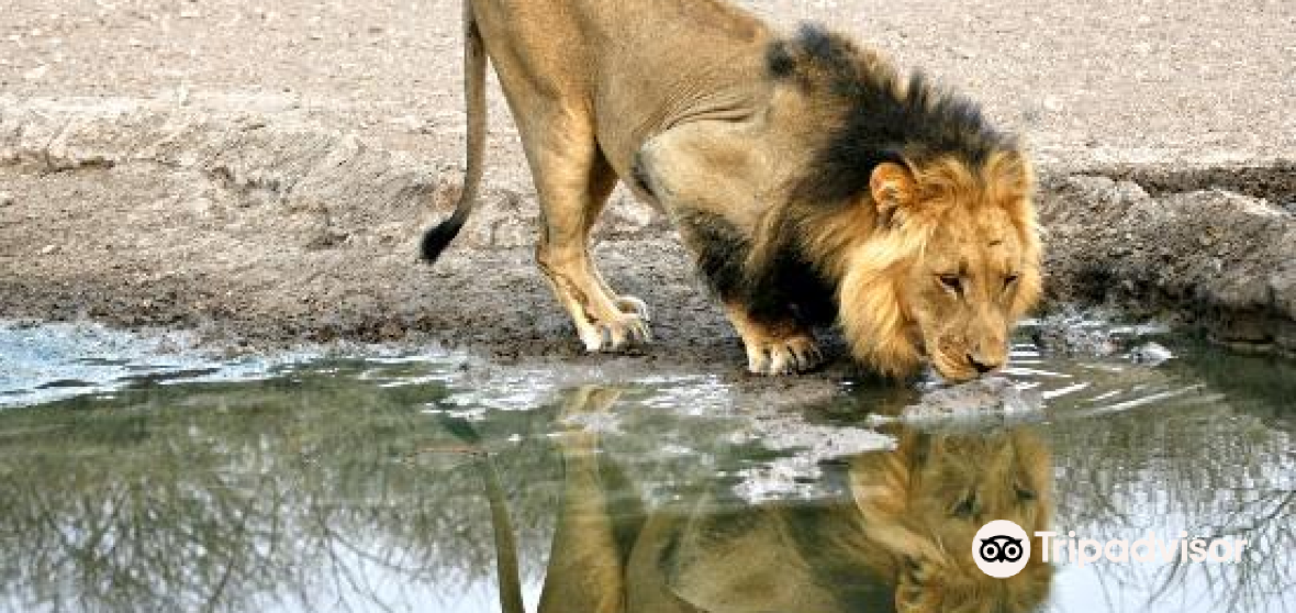 Ckgr 2023 Top Things to Do - Ckgr Travel Guides - Top Recommended Ckgr ...