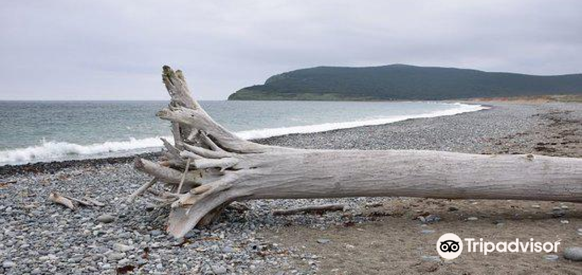 Terney Travel Guide 2023 - Things to Do, What To Eat & Tips | Trip.com