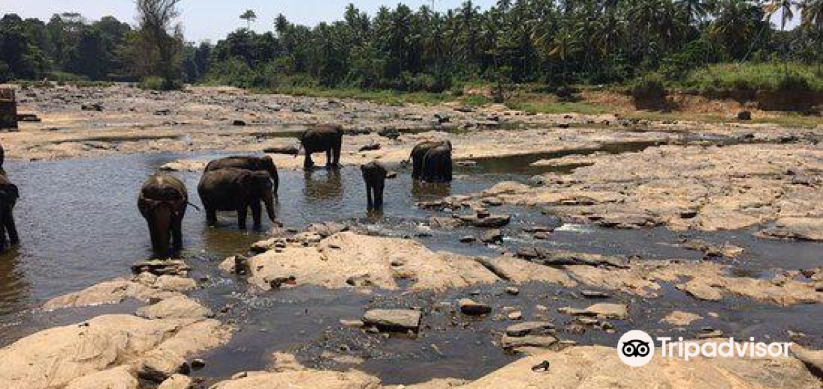 10 Best Things to do in Kegalle, Sabaragamuwa Province - Kegalle travel ...