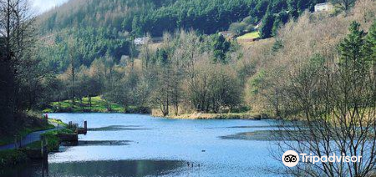 Cwmtillery Travel Guide 2024 - Things to Do, What To Eat & Tips | Trip.com