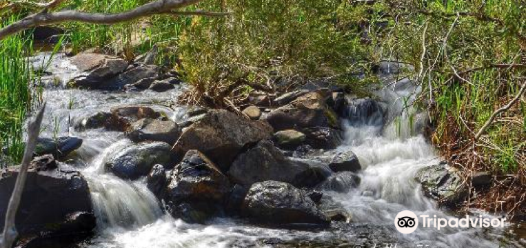 Queanbeyan City Council Travel Guide 2023 - Things to Do, What To Eat ...