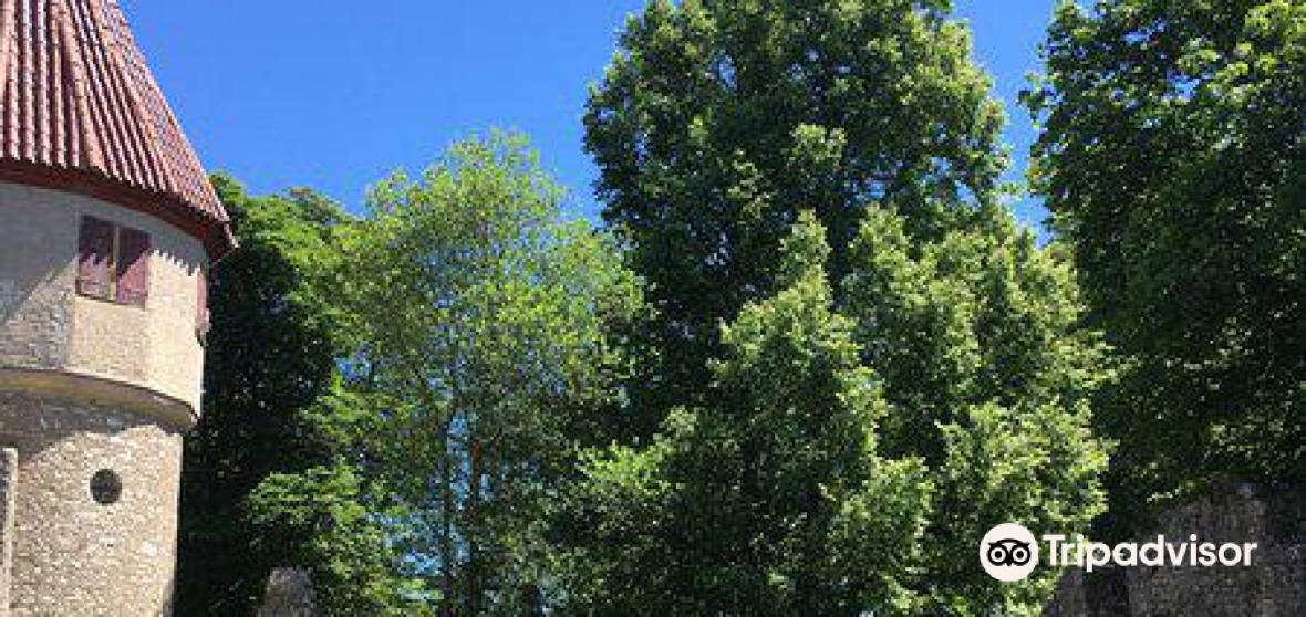 Tuttlingen Travel Guide 2023 - Things to Do, What To Eat & Tips | Trip.com