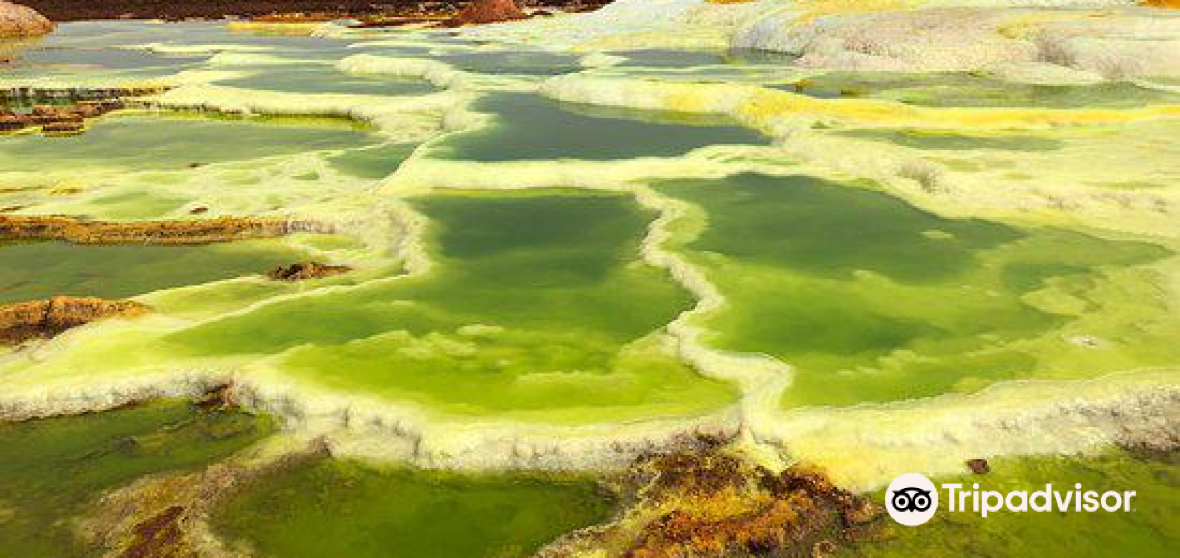 แนะนำการเดินทาง Borena 2023 - สิ่งที่ควรทำ, อาหารที่ควรรับประทาน & ทิป ...