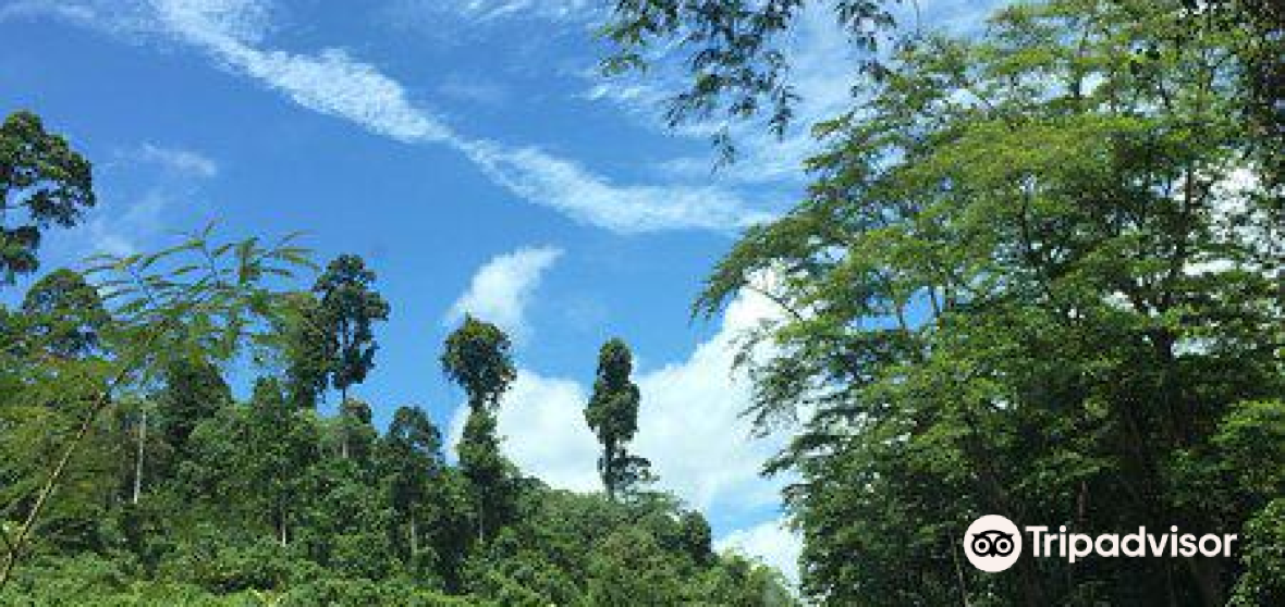 Tongod 2022 Top Things to Do - Tongod Travel Guides - Top Recommended ...