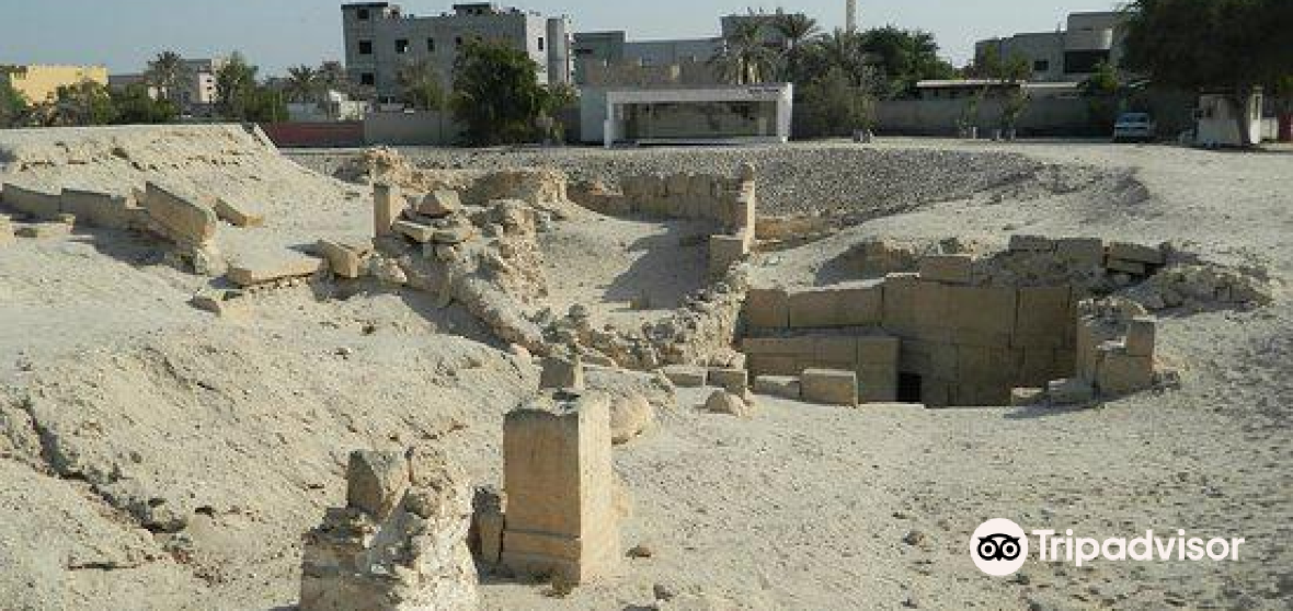 กิจกรรมน่าทำยอดนิยมในZayed Townประจำปี 2023 - คู่มือท่องเที่ยวZayed ...