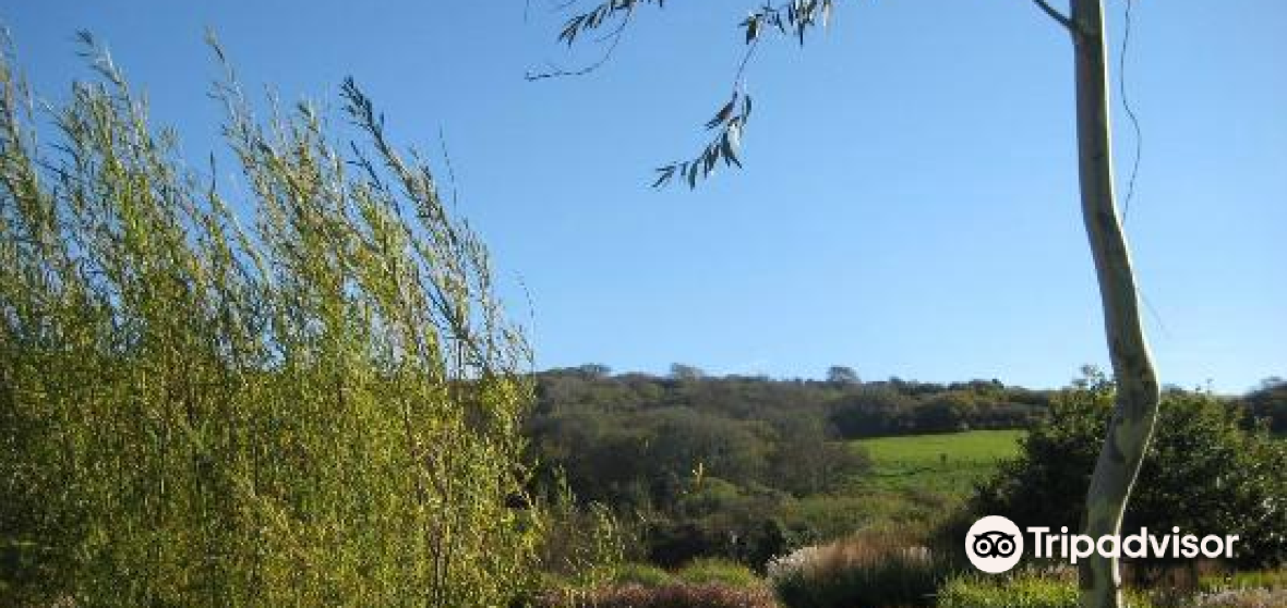 Dinas Cross 2022 Top Things to Do - Dinas Cross Travel Guides - Top ...