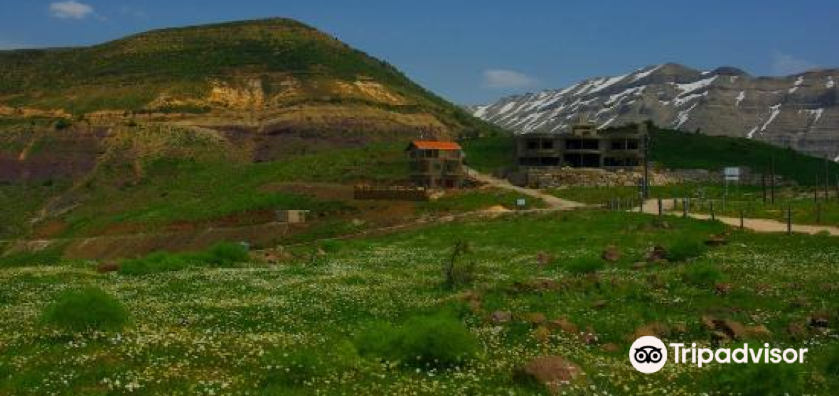 Douma Travel Guide 2023 - Things to Do, What To Eat & Tips | Trip.com