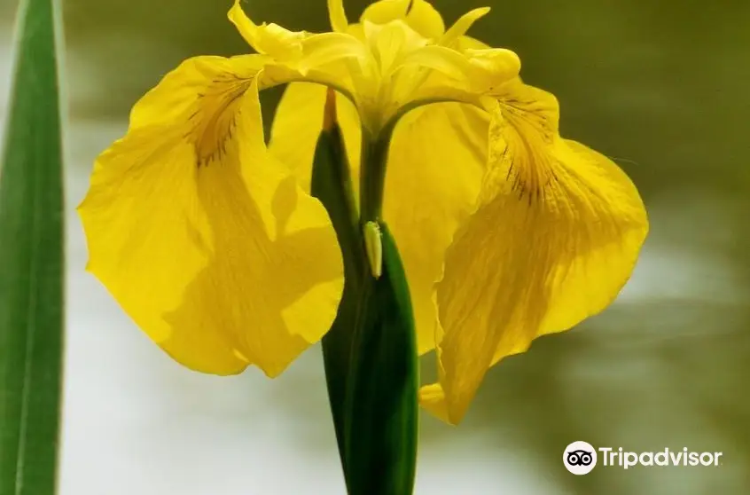 10 Best Things to do in Narashino, Chiba - Narashino travel guides 2021 ...