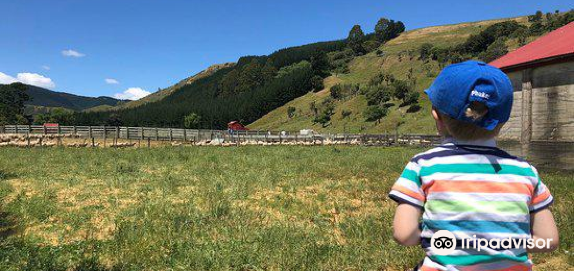 กิจกรรมน่าทำยอดนิยมในPirinoaประจำปี 2023 - คู่มือท่องเที่ยวPirinoa ...