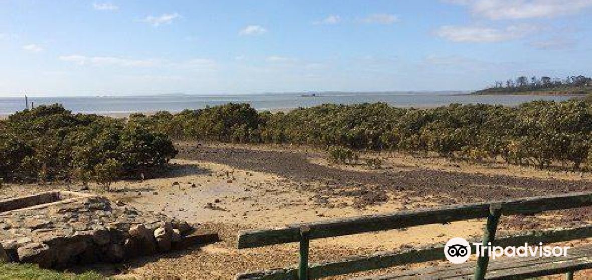 Bittern Travel Guide 2023 - Things to Do, What To Eat & Tips | Trip.com