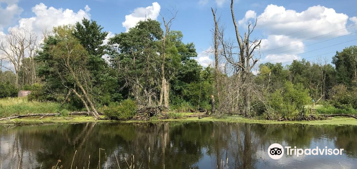 Aboite Township 2022 Top Things to Do - Aboite Township Travel Guides ...