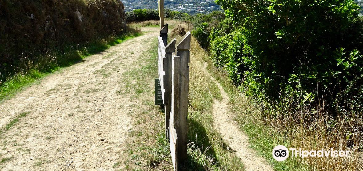 แนะนำการเดินทาง Khandallah 2023 - สิ่งที่ควรทำ, อาหารที่ควรรับประทาน ...