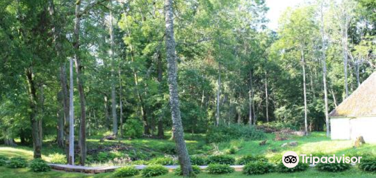 Mazsalaca Travel Guide 2023 - Things to Do, What To Eat & Tips | Trip.com