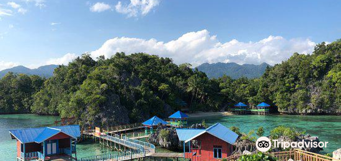 กิจกรรมน่าทำยอดนิยมในEast Luwu Regencyประจำปี 2023 - คู่มือท่องเที่ยว ...