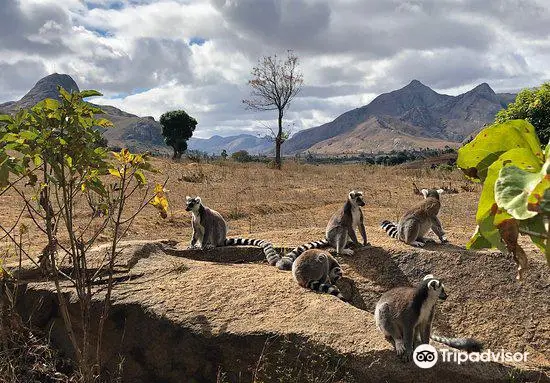 10 Best Things to do in Ihosy, Ihorombe - Ihosy travel guides 2021 ...