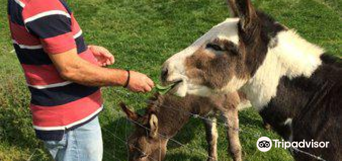 กิจกรรมน่าทำยอดนิยมในChurch Stokeประจำปี 2022 - คู่มือท่องเที่ยวChurch ...